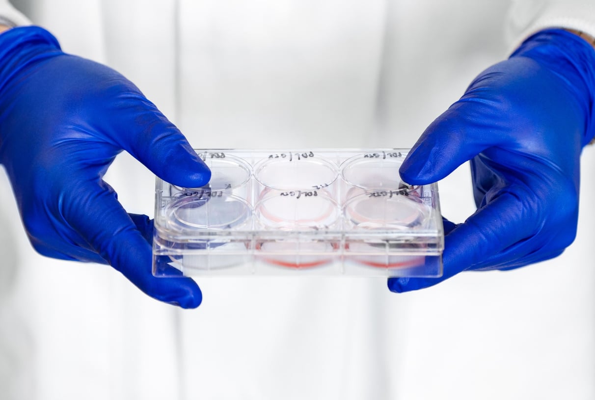 Partner with us | bit.bio