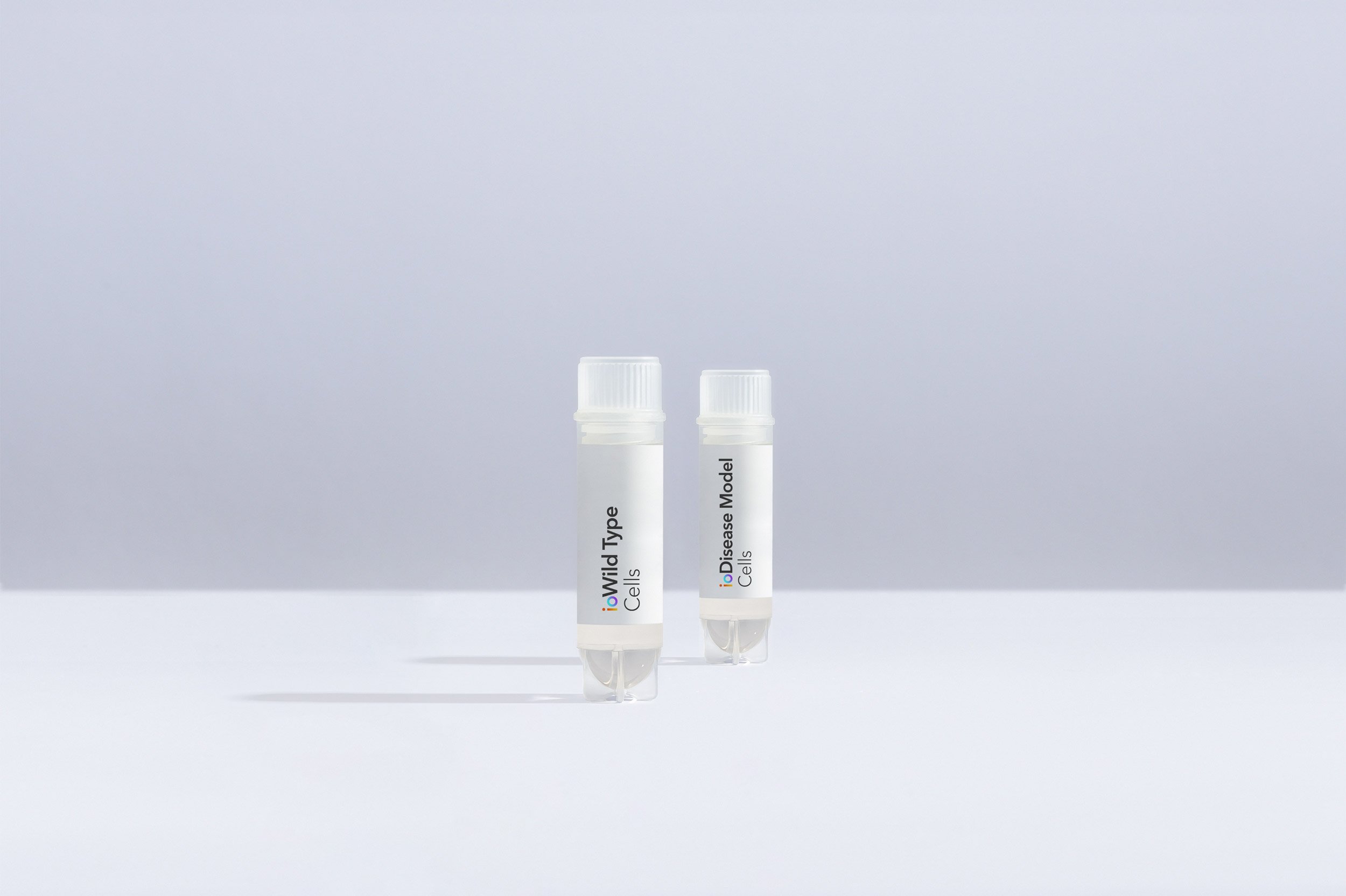 Skeletal Myocytes DMD Exon 44 Deletion | ioCells