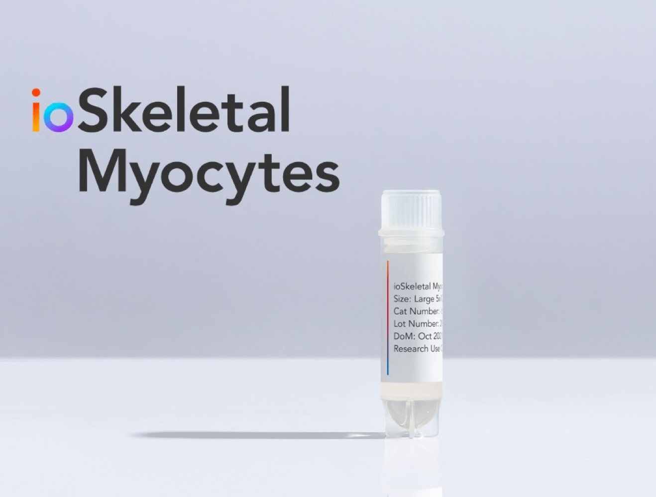 Skeletal Myocytes DMD Exon 44 Deletion | ioCells