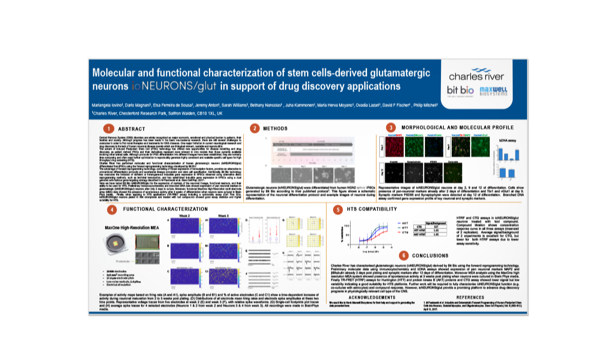 iPSC-derived cells for research and drug discovery | ioCells | bit.bio
