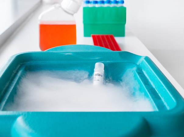 Synthetic Biology for Human Health | Cells Reprogrammed | bit.bio