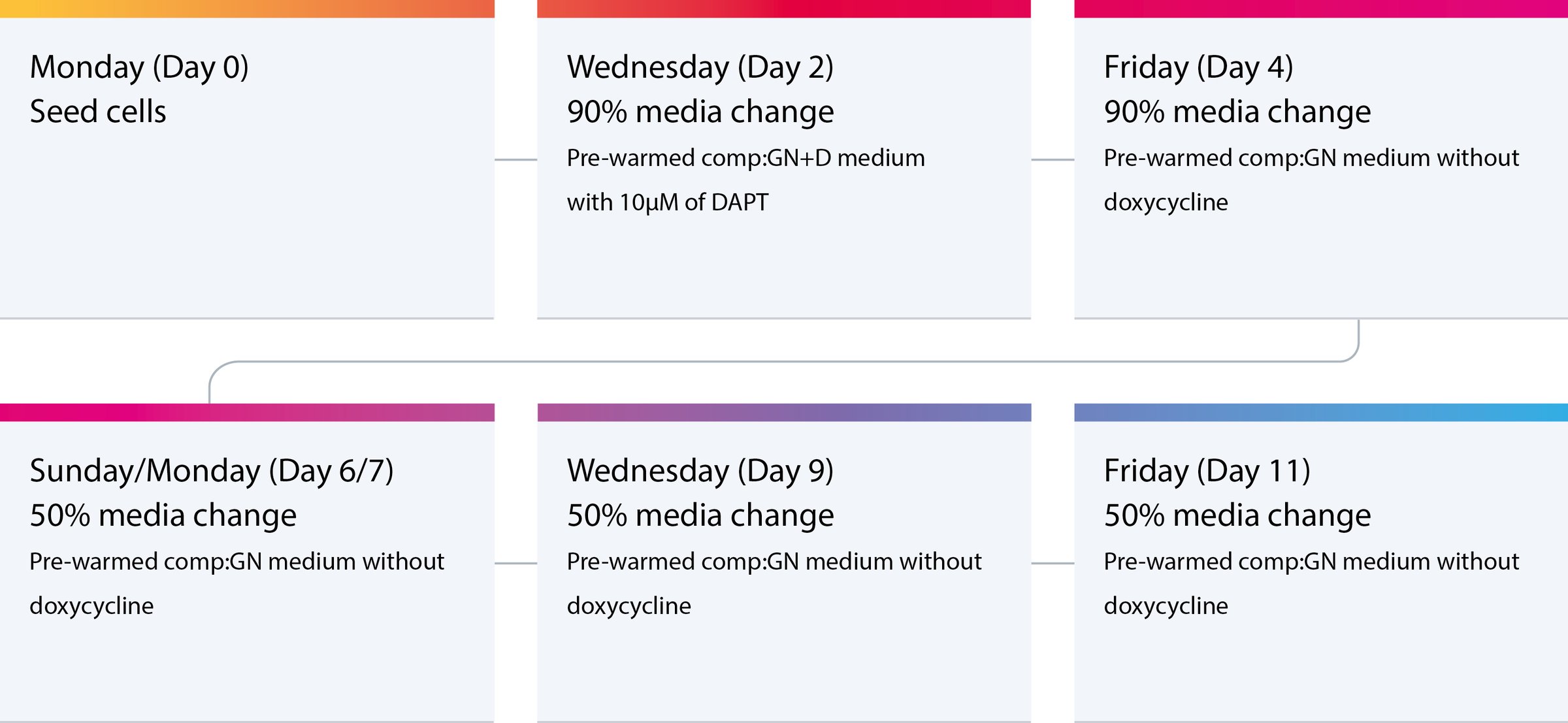 Cell culture hacks | human iPSC-derived glutamatergic neurons