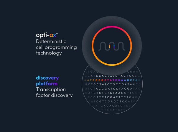 Synthetic Biology for Human Health | Cells Reprogrammed | bit.bio