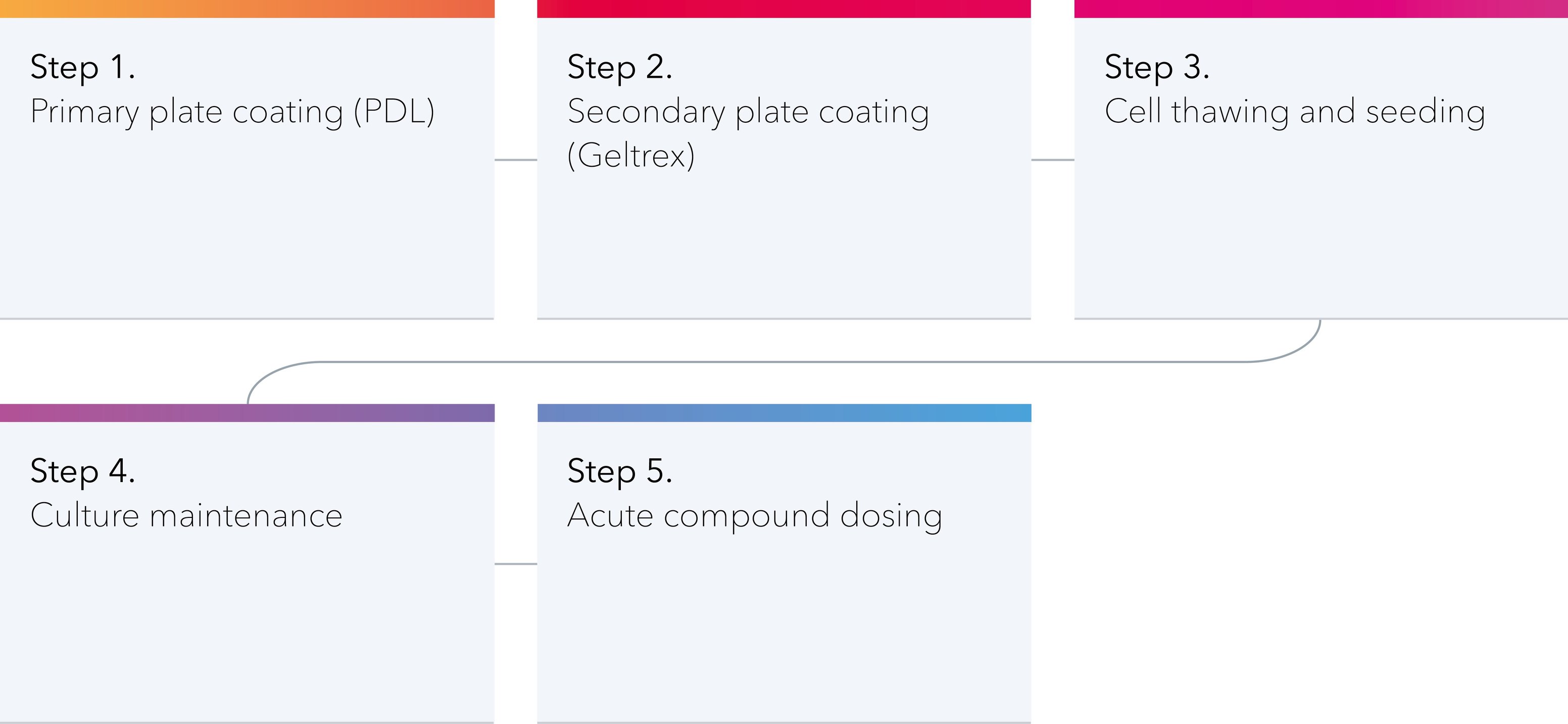 Neural tri-culture protocol | MEA assay