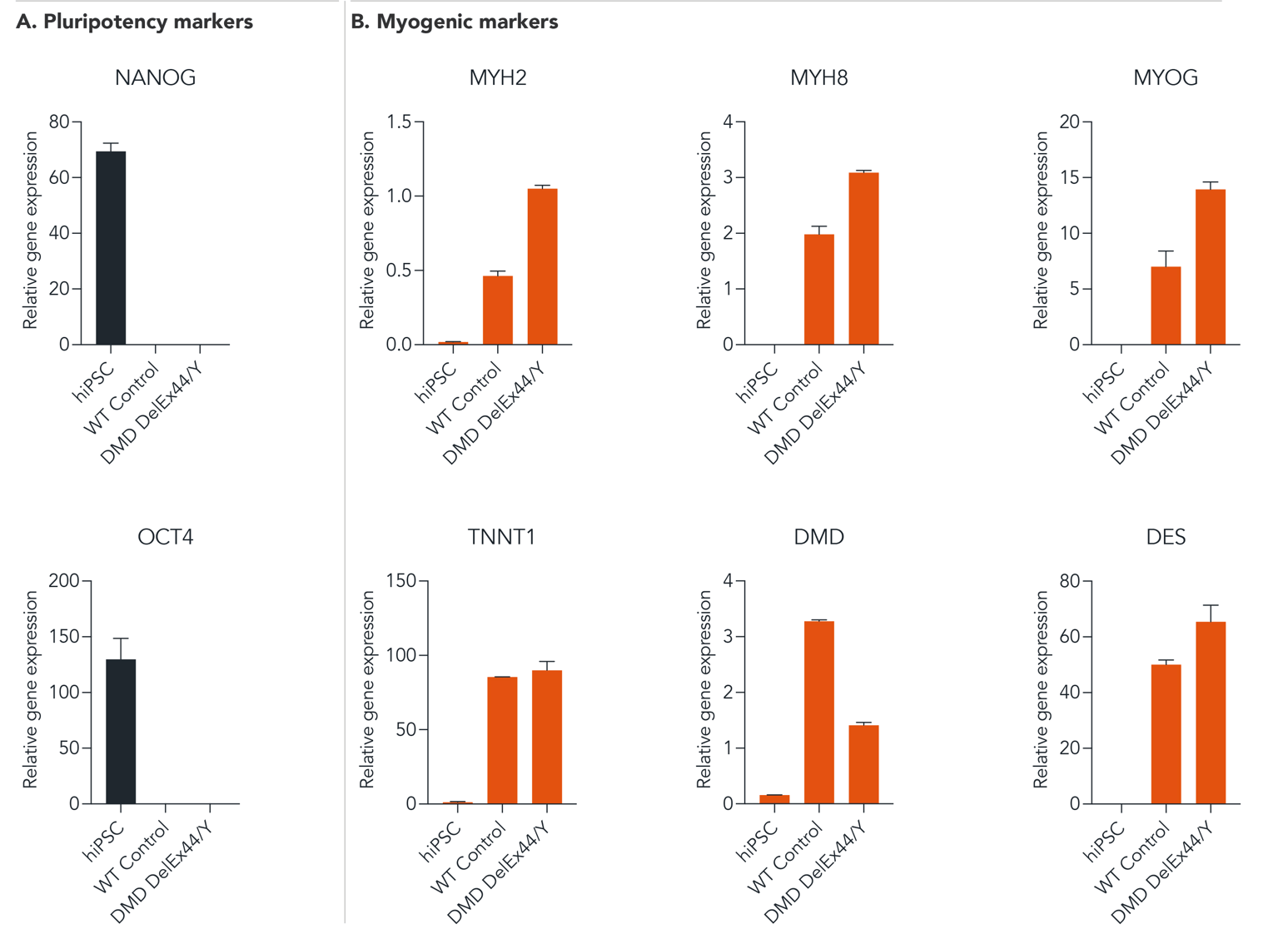 Skeletal Myocytes DMD Exon 44 Deletion | ioCells