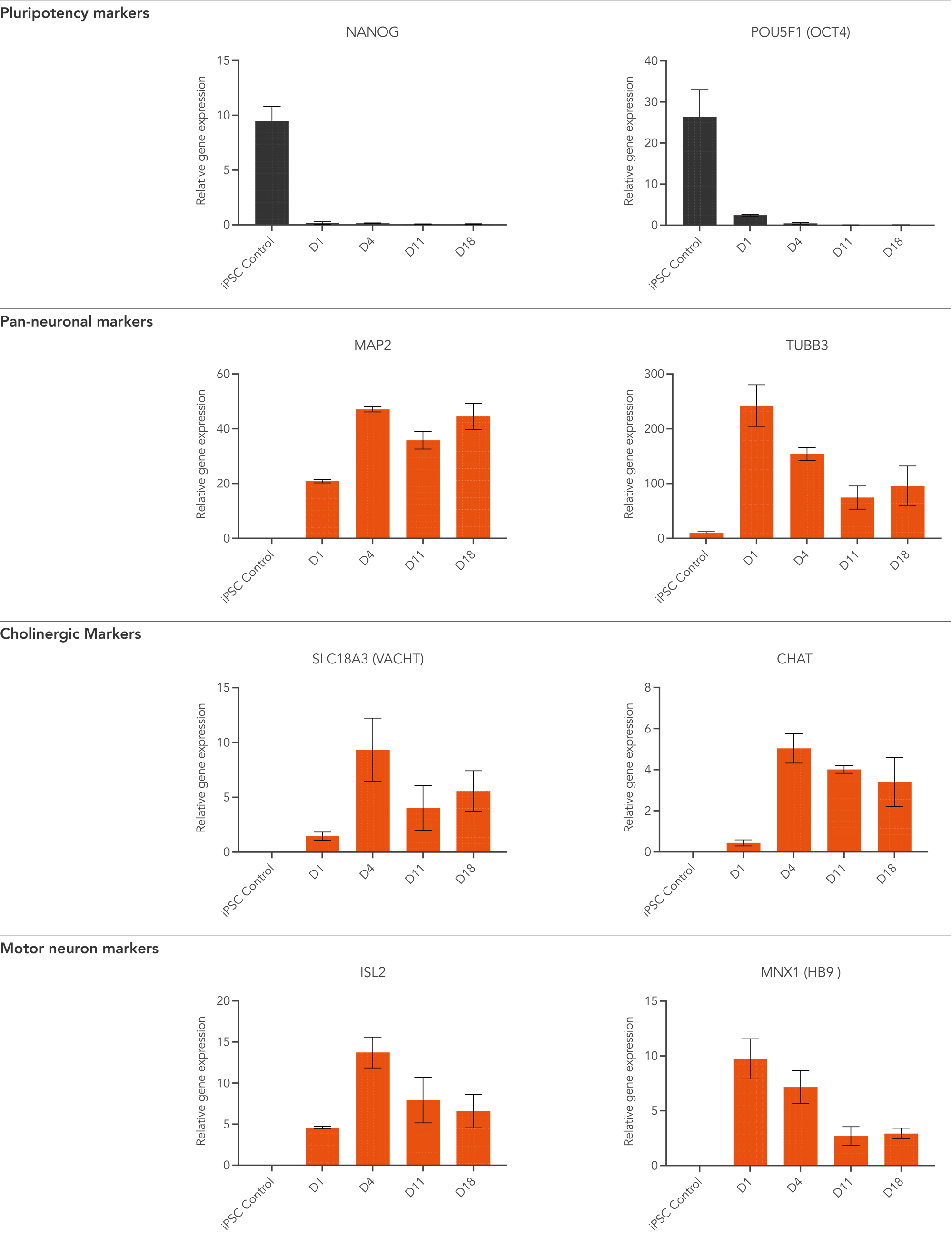 Motor Neurons | ioCells