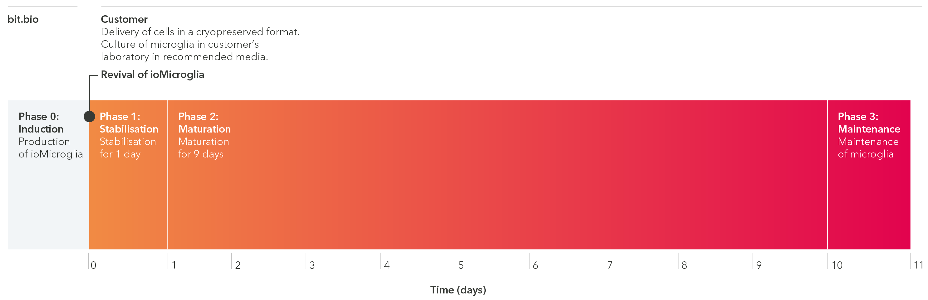 ioMicroglia | ioCells | bit.bio