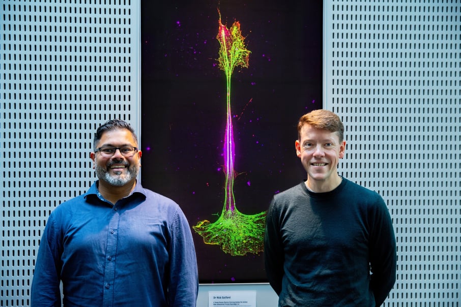 Synthetic Biology for Human Health | Cells Reprogrammed | bit.bio