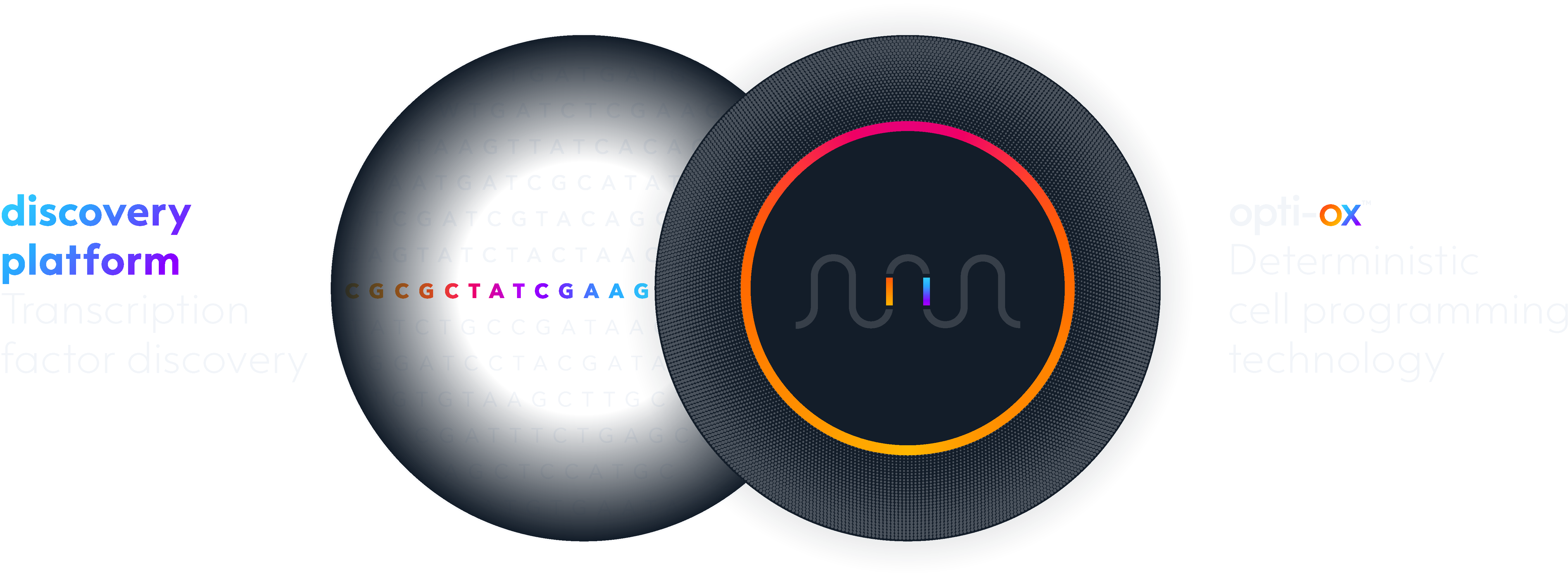 Synthetic biology for human health | bit.bio