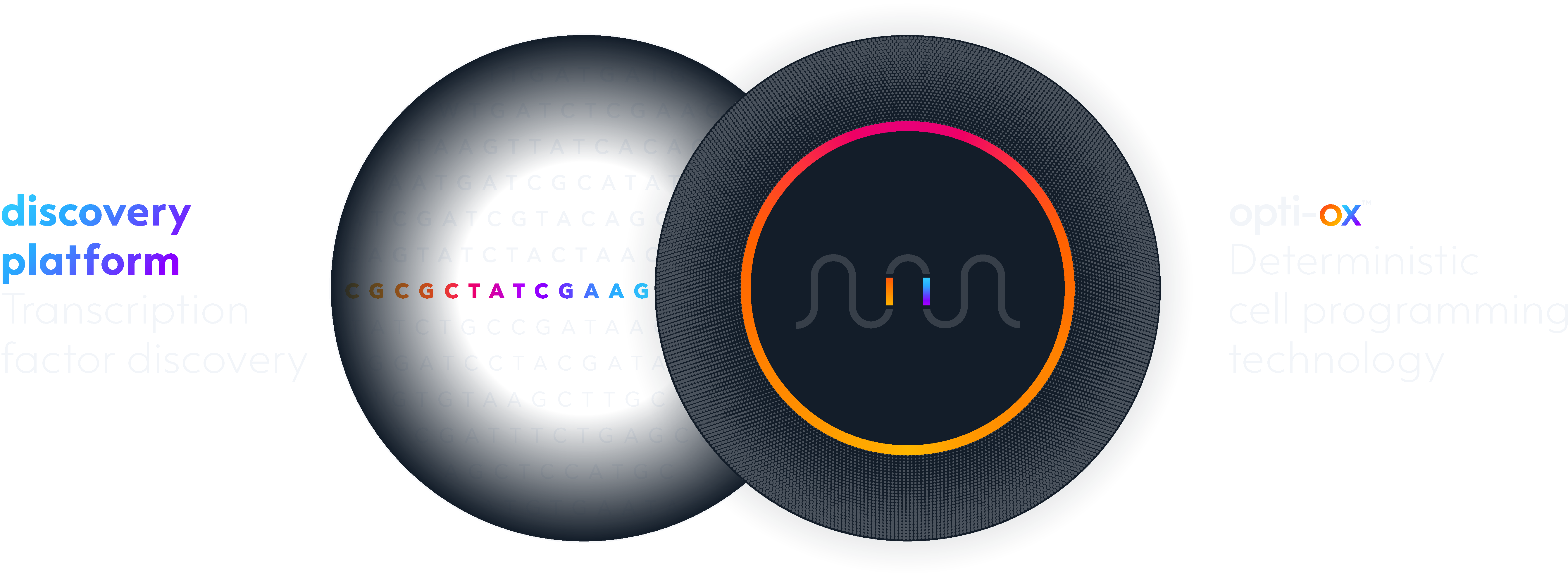 Synthetic biology for human health | bit.bio