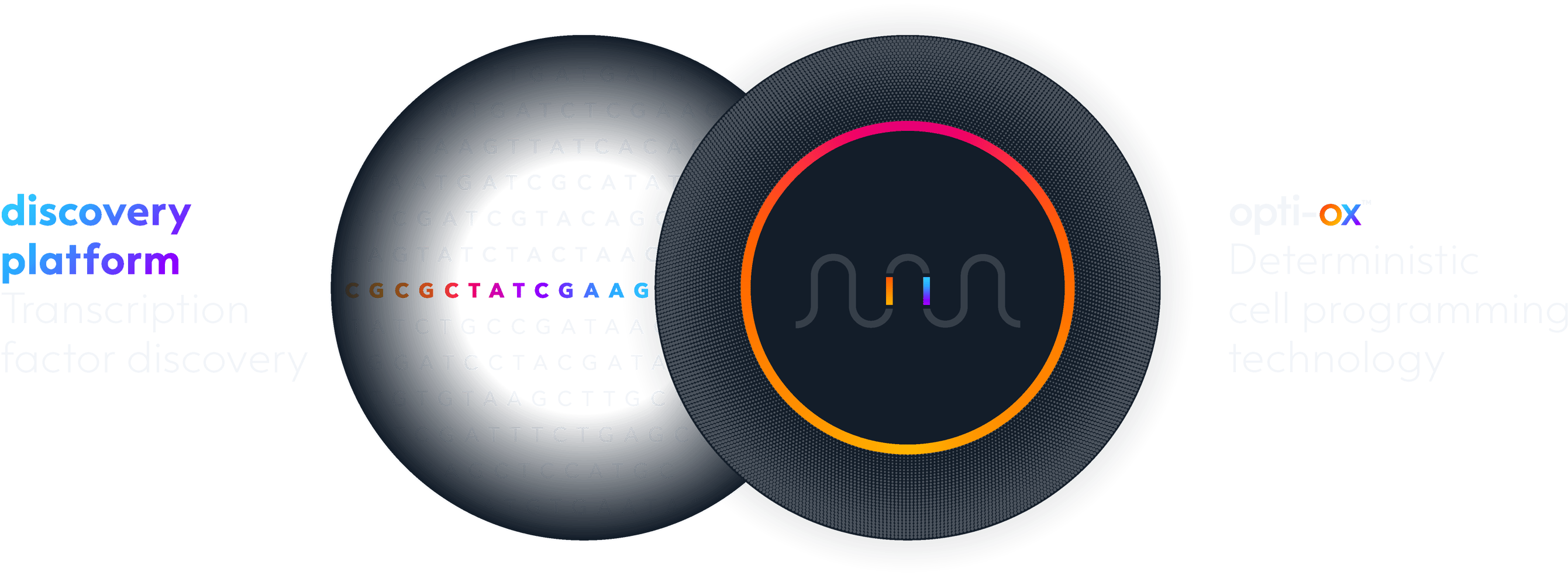 Synthetic biology for human health | bit.bio