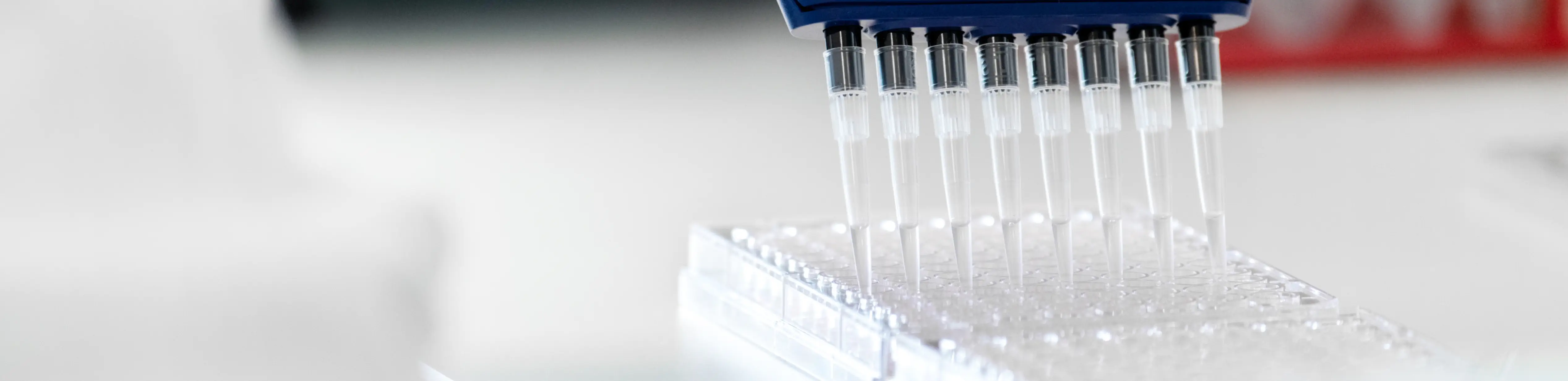 Order help request | bit.bio